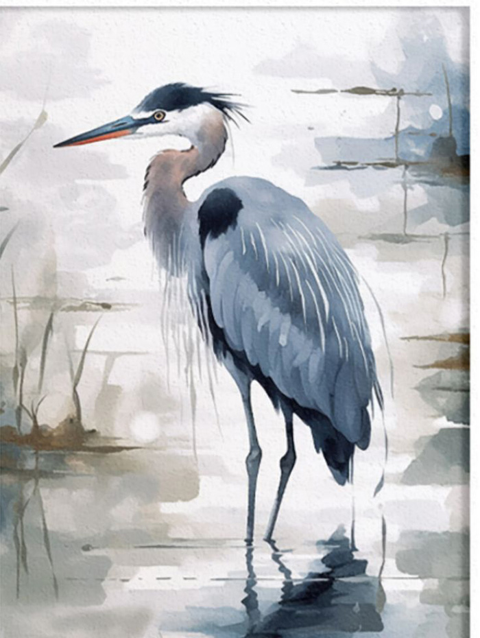 Workshops | Snow Goose Festival of the Pacific Flyway
